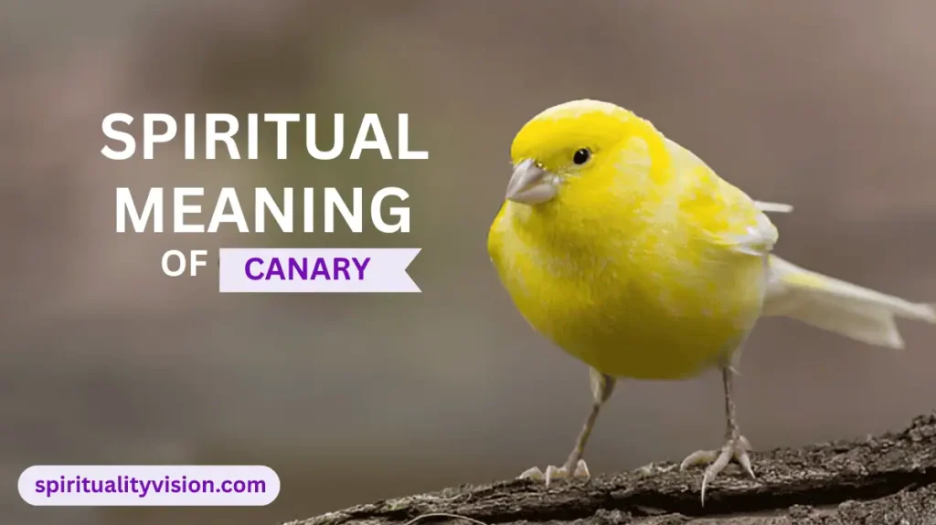 Spiritual Meaning of Canary | Symbolism, Messages & Lessons!