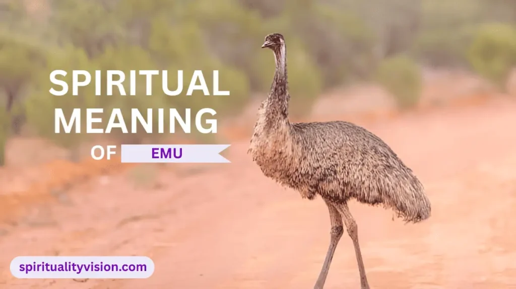 Spiritual Meaning of Emu | Symbolism, Messages & Lessons!