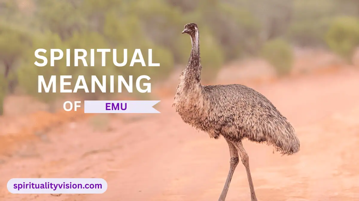 Spiritual Meaning of Emu | Symbolism, Messages & Lessons!