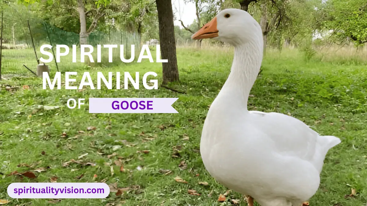 Spiritual Meaning of Goose | Symbolism, Messages & Lessons!