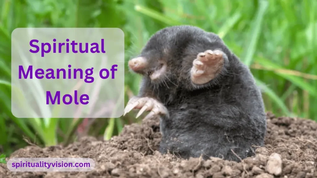 Spiritual Meaning of Mole | Symbolism, Messages & Lessons!