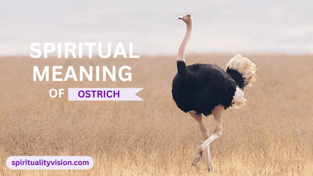 Spiritual Meaning of Ostrich | Symbolism, Messages & Lessons