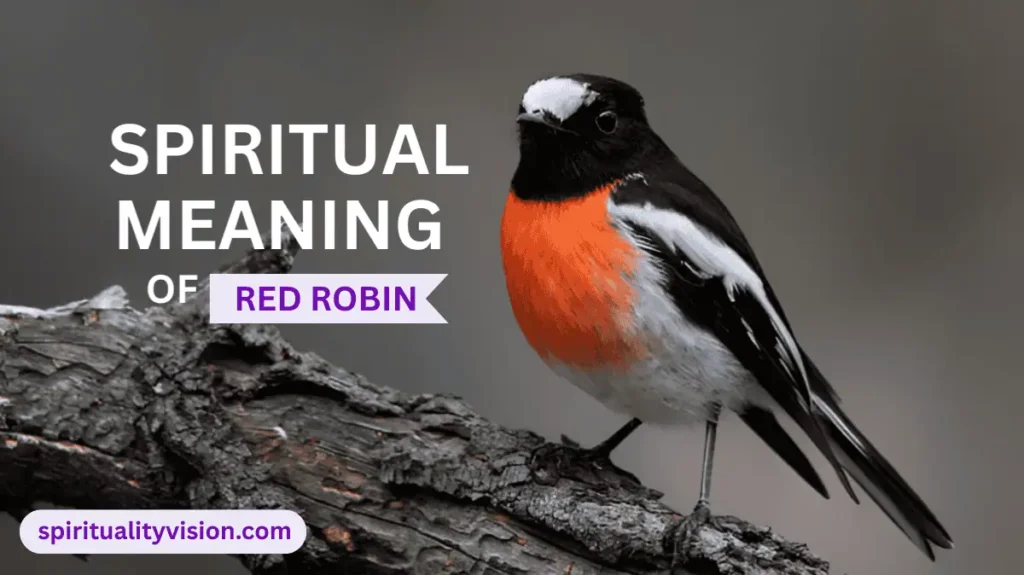 Spiritual Meaning of Red Robin | Symbolism, Totem & Lessons!