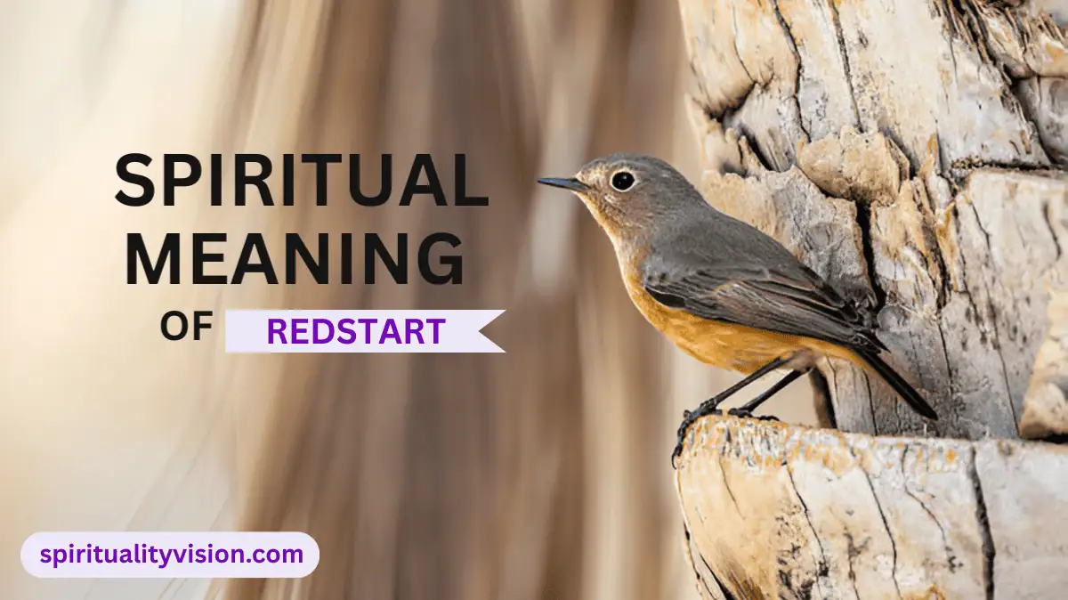 Spiritual Meaning of Redstart | Symbolism, Messages & Power